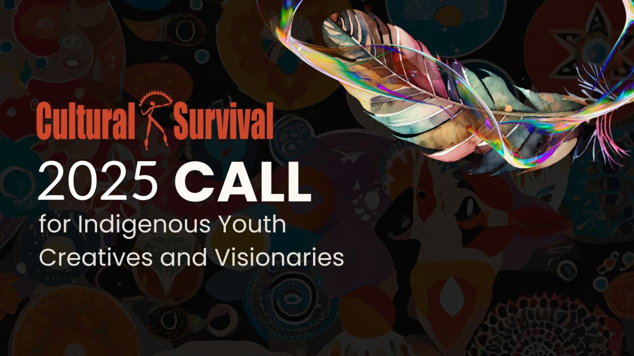 2025 Call for Indigenous Youth Creatives and Visionaries | Cultural Survival